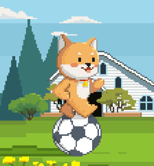 dogeball presale - How to buy dogeball