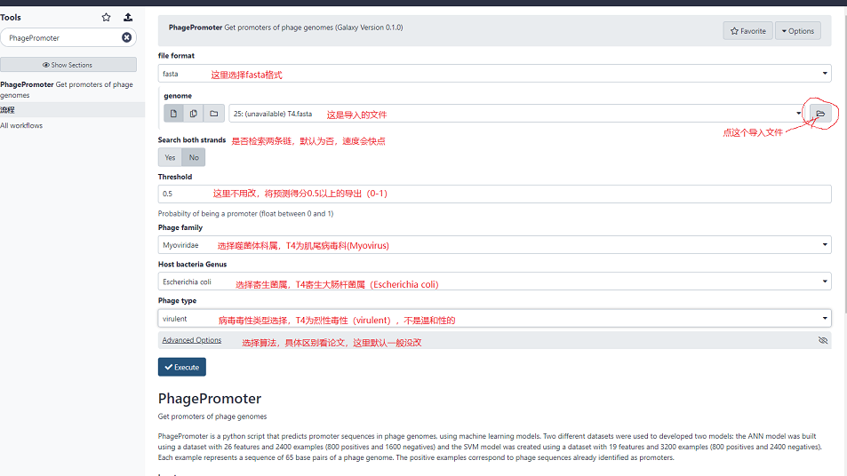 Promoter预测 | Becomingw'Blog