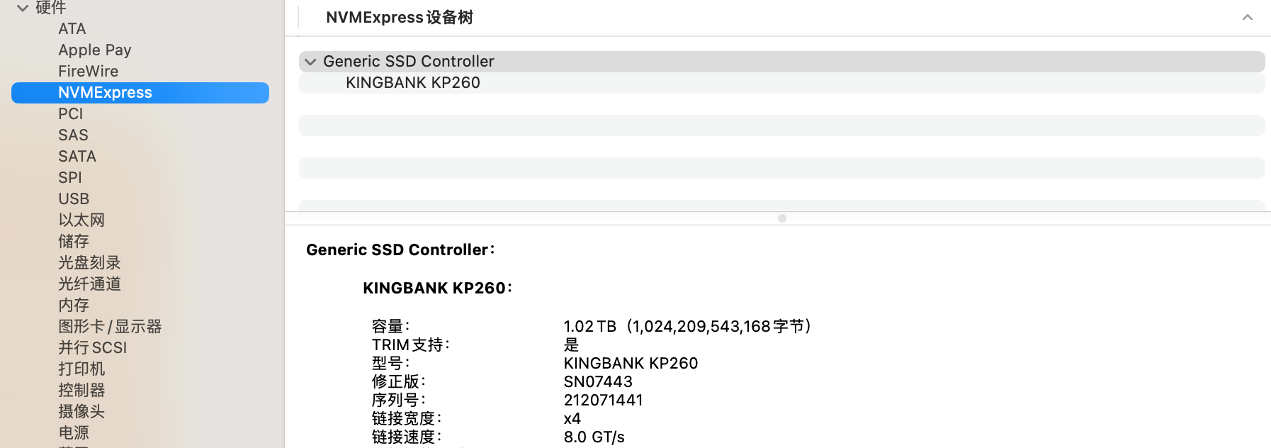 GitHub - Ketuer/NUC9-i7QNX-hackintosh: NUC9幽灵峡谷OC引导