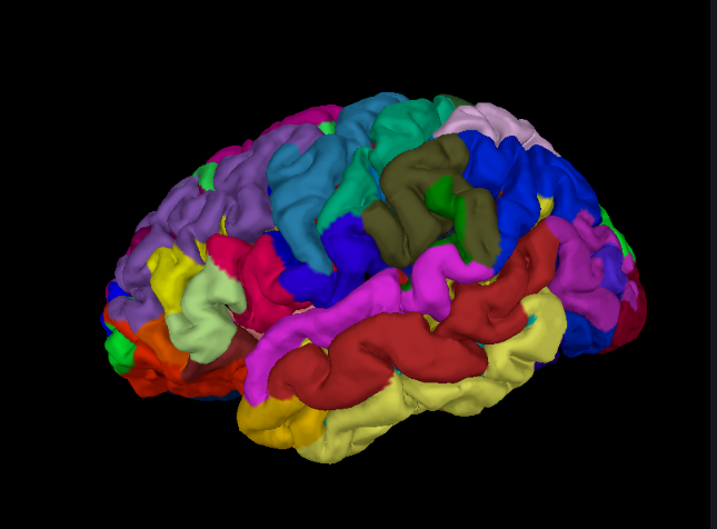 Python-MNE-源空间和正模型01：FreeSurfer MRI重建 - 荔枝树