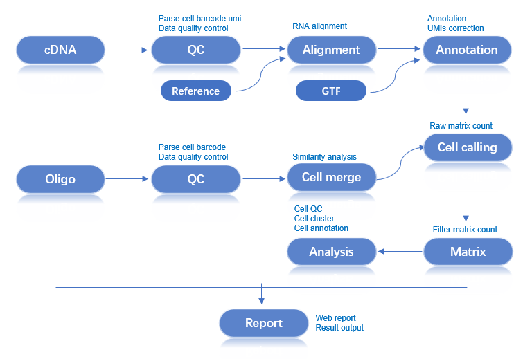 DNBelab_C_Series_HT_scRNA-analysis-software/doc/pipeline/scRNA.md at version2.0 · MGI-tech ...