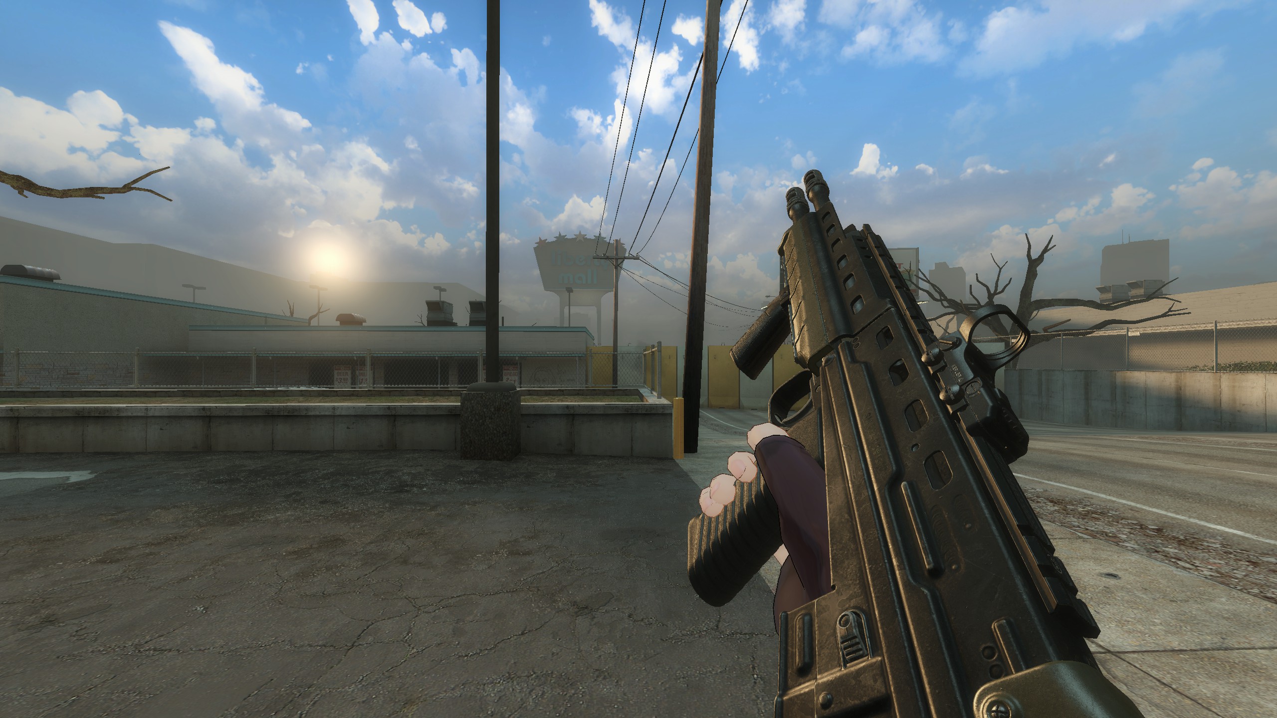 Steam Workshop::COD:Black Ops 6 GPR 91 Double-Barrel Conversion